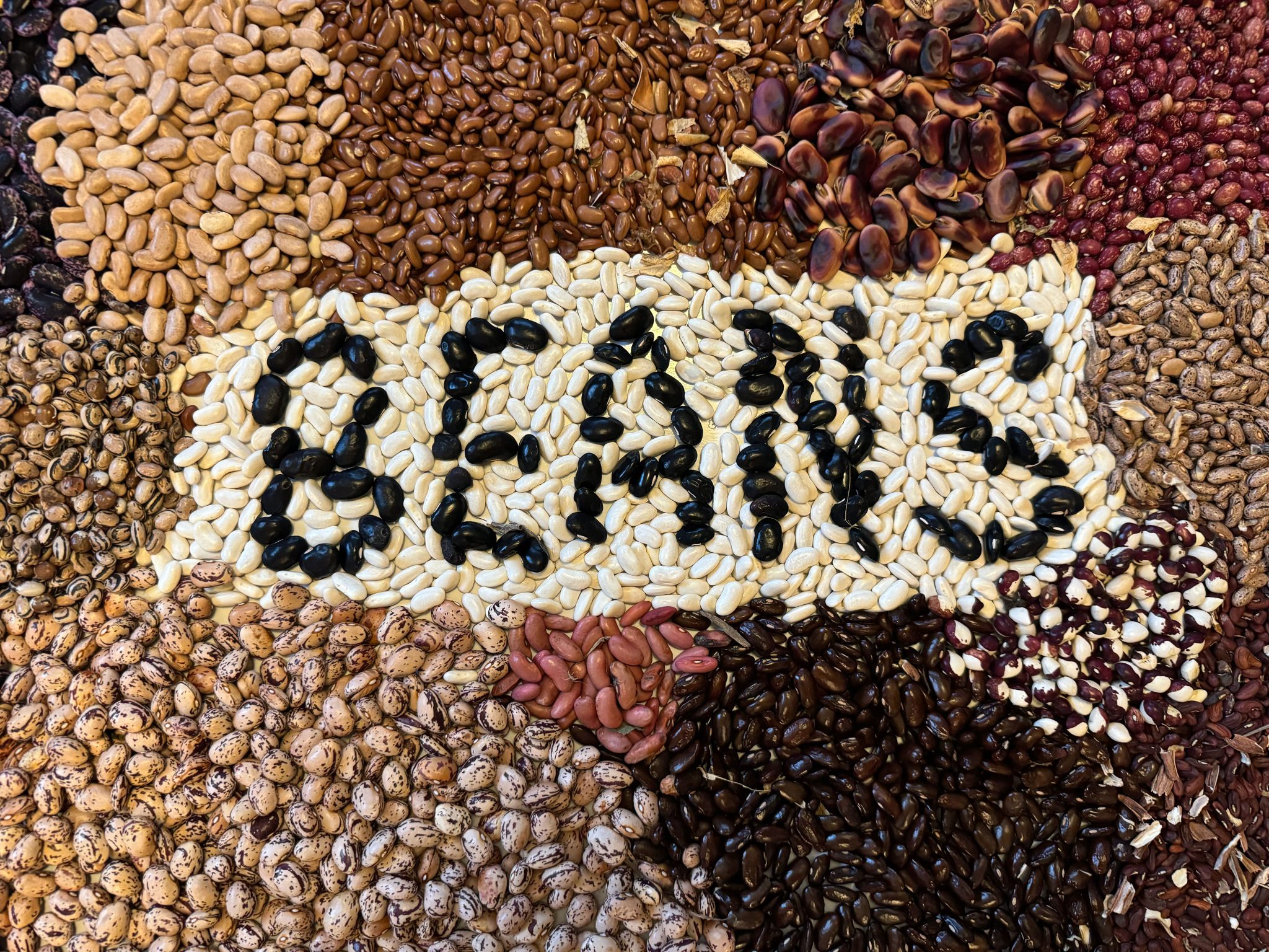 Seed Savers National Zoom – 3rd November 2024 – Seed Savers Connect