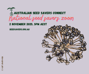 November National Seed Savers Zoom – Seed Savers Connect